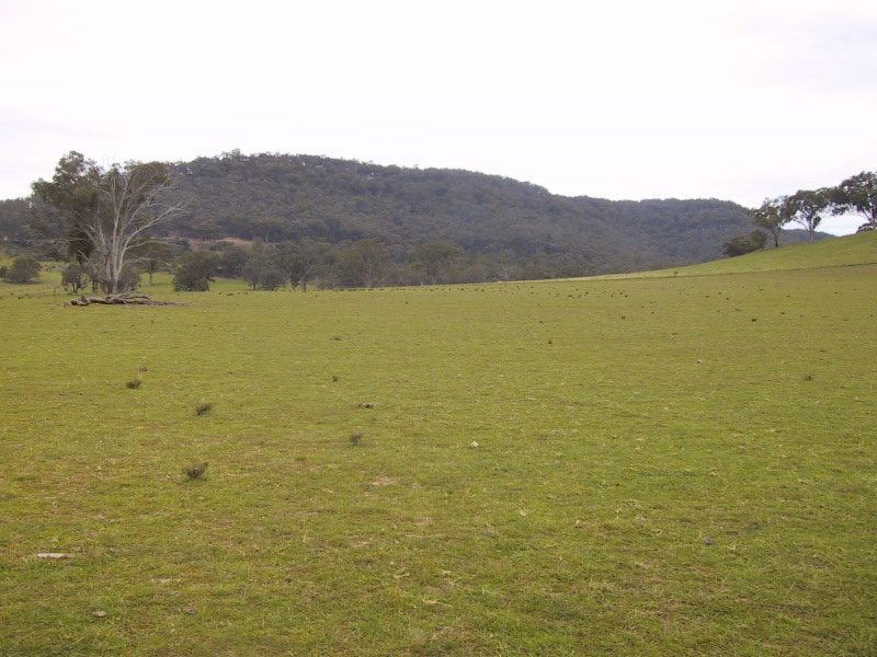 SASMAS - Goulburn River Basin - Cumbo - Images