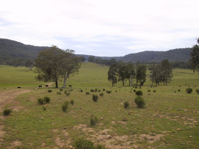 SASMAS - Goulburn River Basin - Cumbo - Images