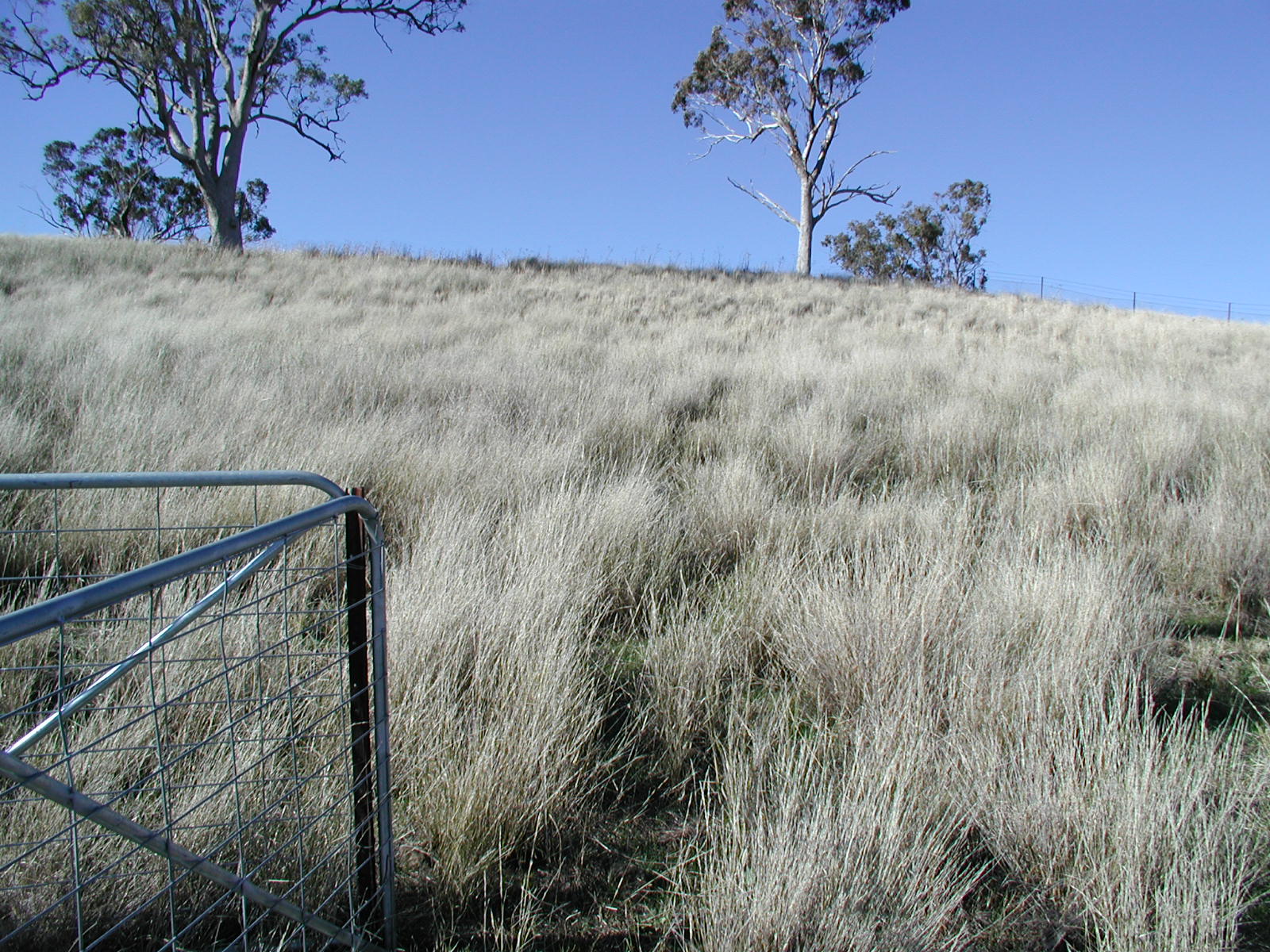 SASMAS - Goulburn River Basin - Stanley 4 - Images