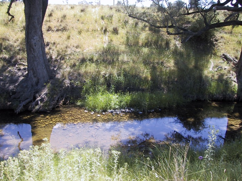 SASMAS - Goulburn River Basin - Upper Merriwa (Stream Gauge) - Images