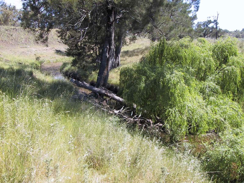 SASMAS - Goulburn River Basin - Upper Merriwa (Stream Gauge) - Images