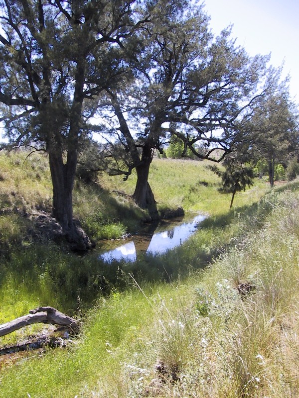 SASMAS - Goulburn River Basin - Upper Merriwa (Stream Gauge) - Images